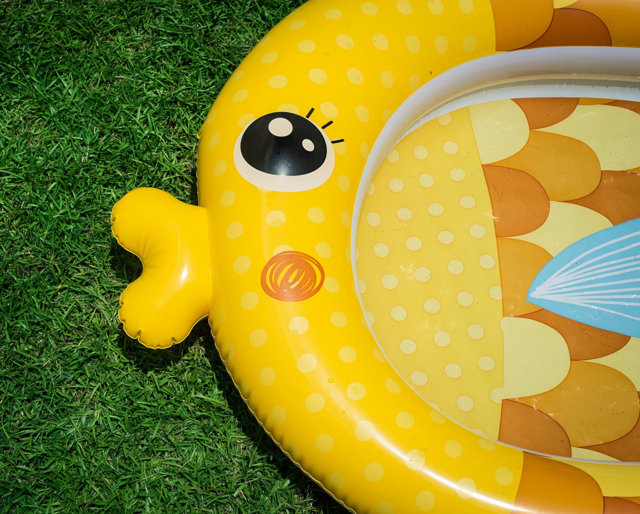 These Paddling Pools are Great for Cooling Off in Summer - LUX & LUSH